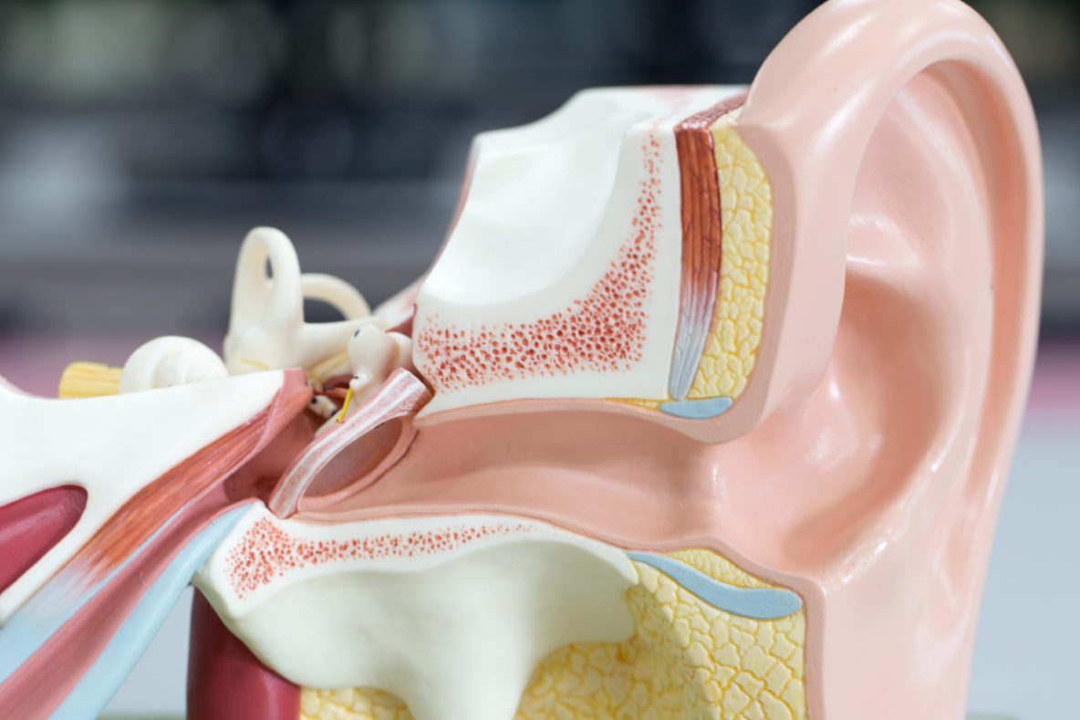 Ear Wax Removal | Associated Audiologists